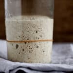 Surdej - vejledning og guide til opstart af surdej på 7 dage