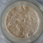 Surdej - vejledning og guide til opstart af surdej på 7 dage