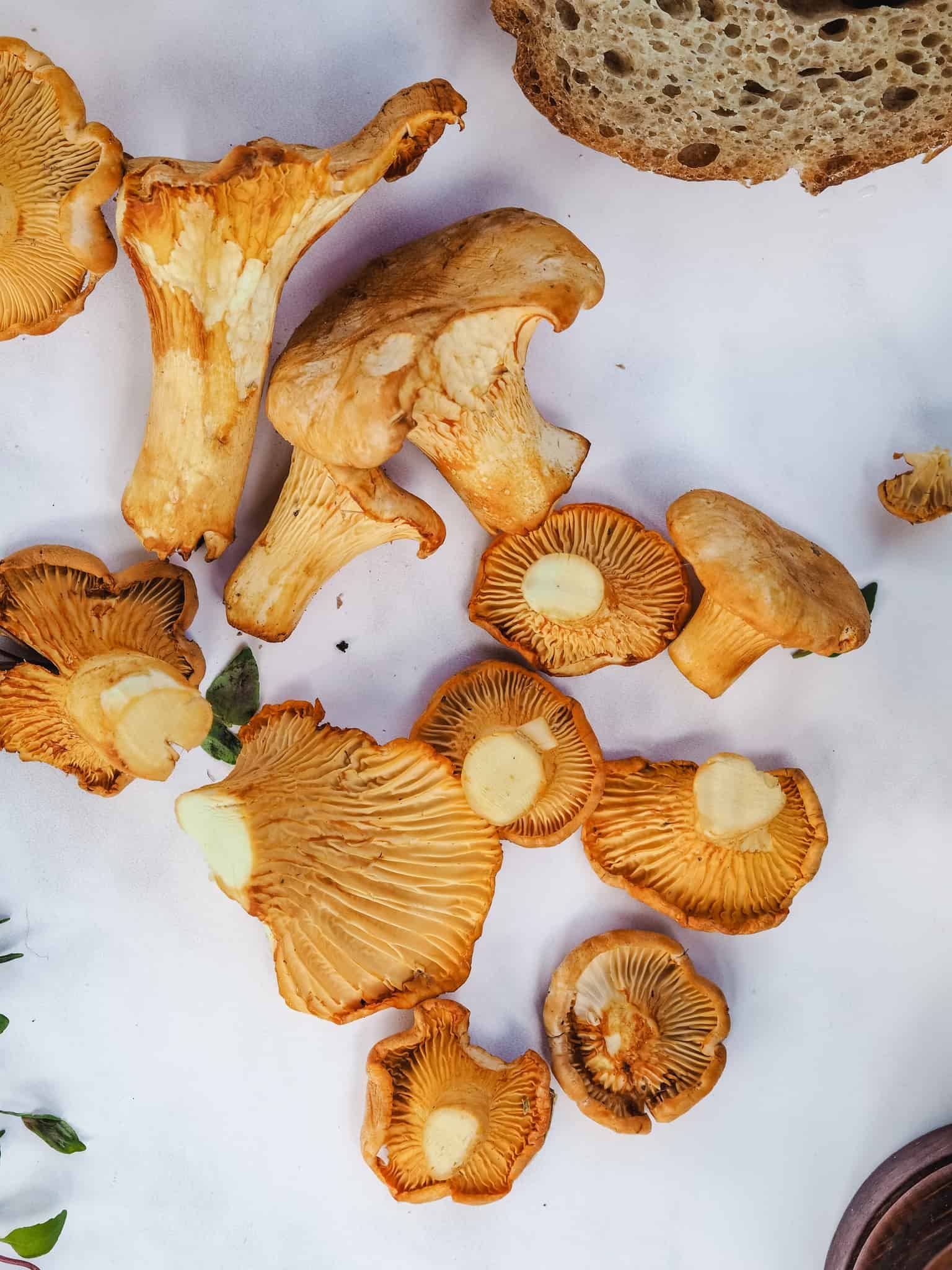 Kantarel toast a la creme: Brød med flødestuvede kantareller