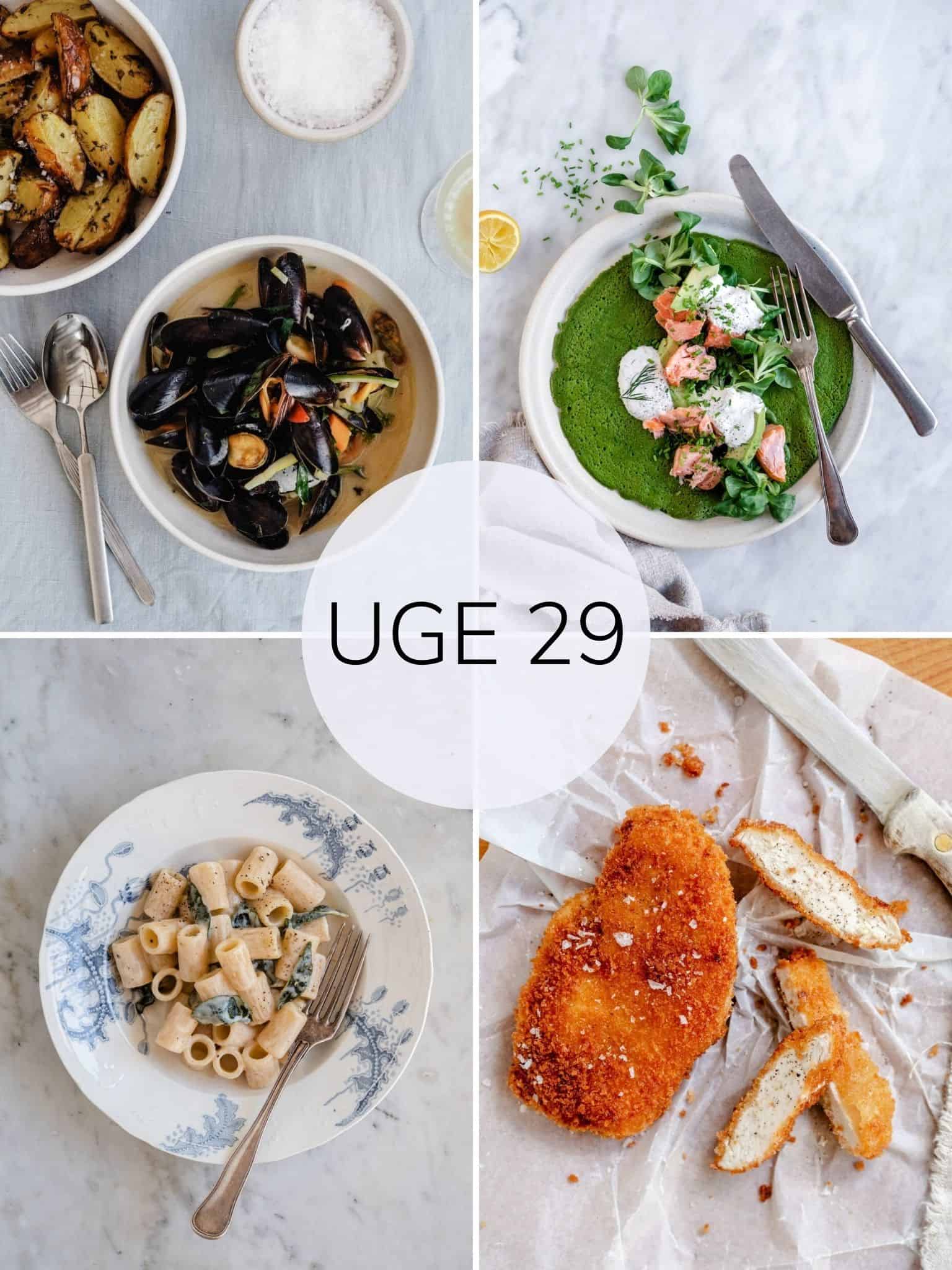Madplan uge 29