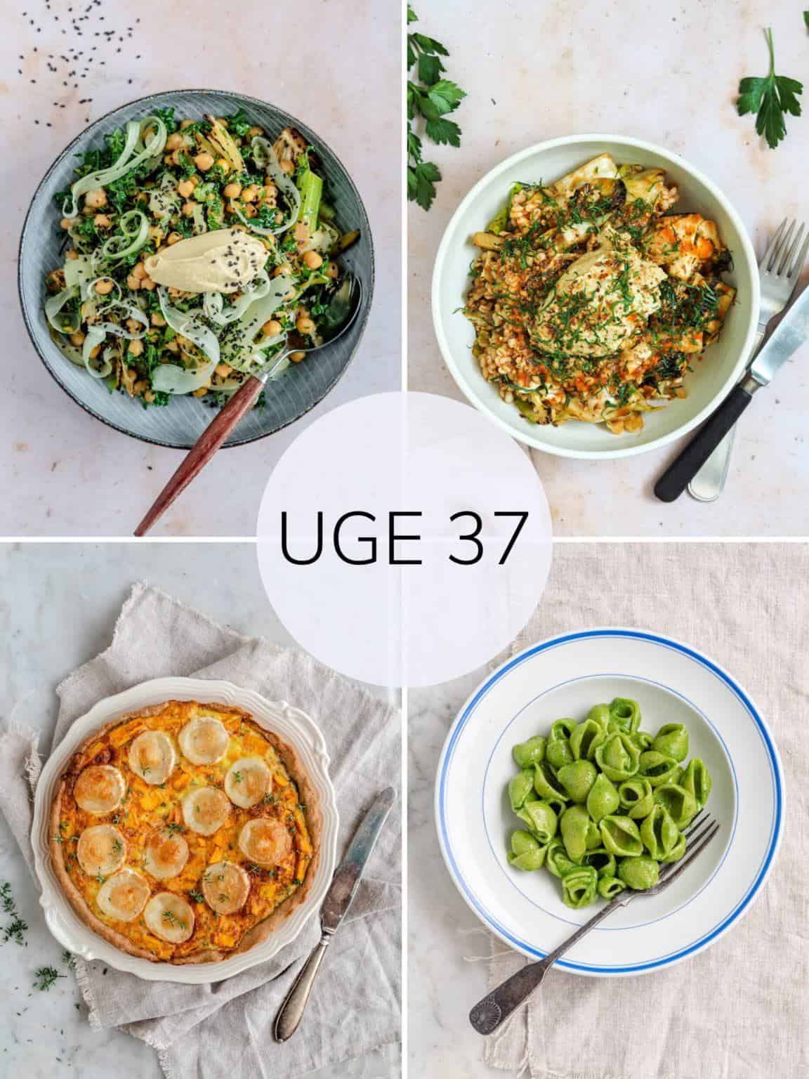 Vegetarisk madplan uge 37 - nem vegetar mad til hele ugen!