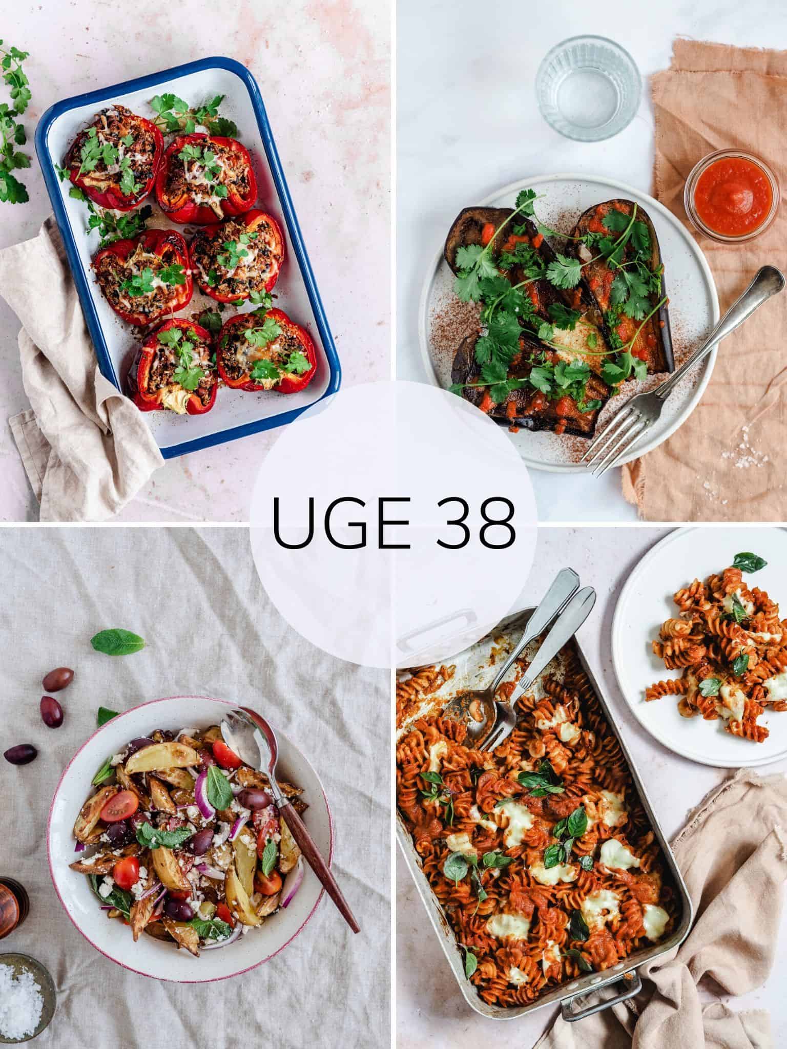 Vegetarisk madplan uge 38 - Spækket med skønne retter