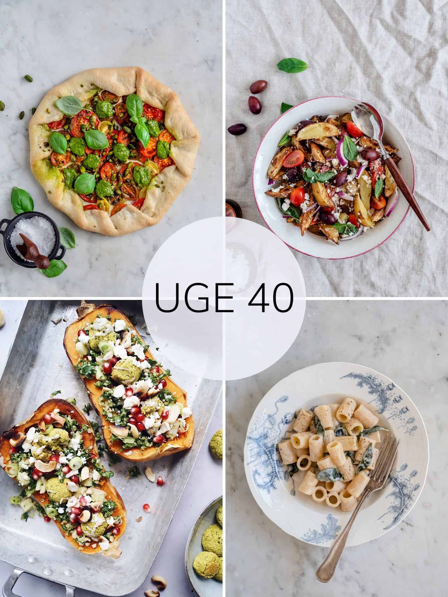 Vegetarisk madplan uge 40 - kødfrieretter til hele ugen