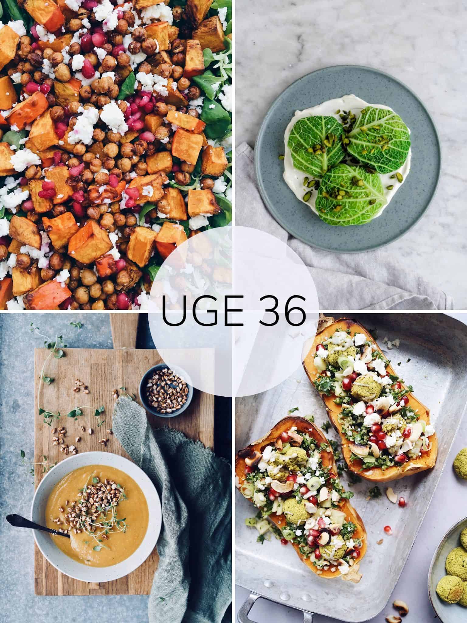 Vegetarisk madplan uge 36 - Få en tilpasset indkøbsliste med