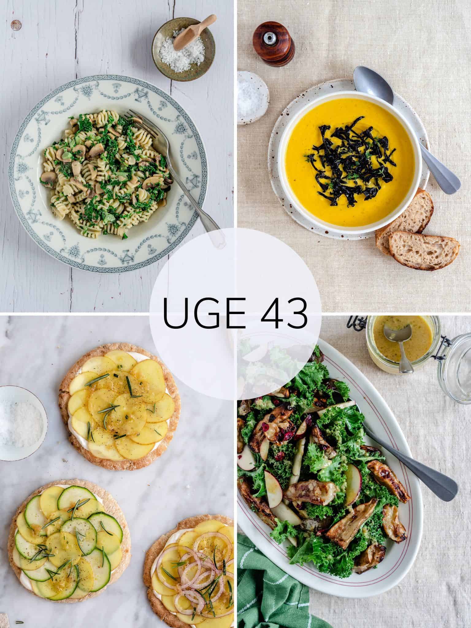 Vegetarisk madplan uge 43 - En masse efterårsretter til dig!