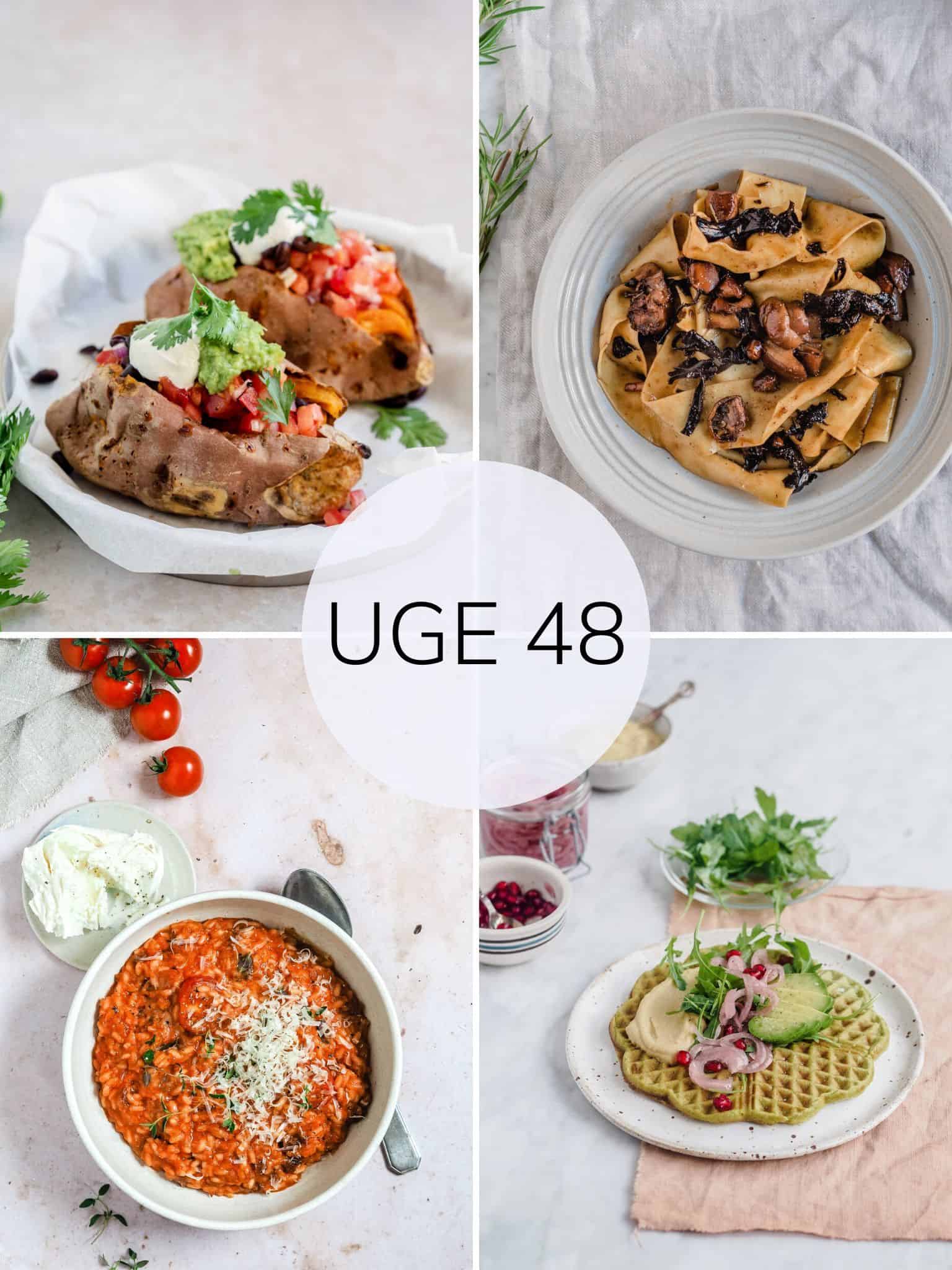 Vegetarisk madplan uge 48 - Madplan med nem vegetarisk mad