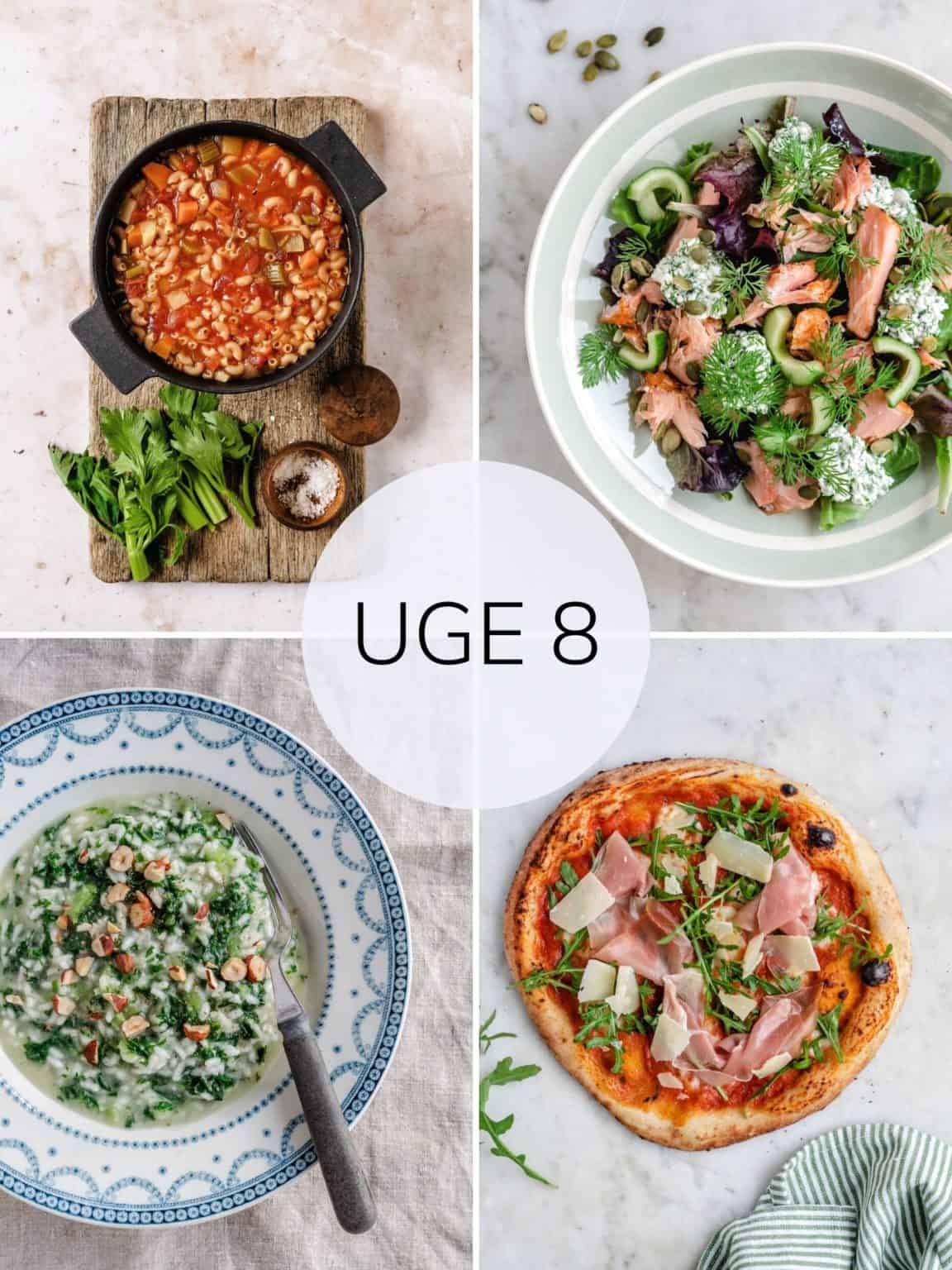 Madplan uge 8 - gratis madplan til hele familien