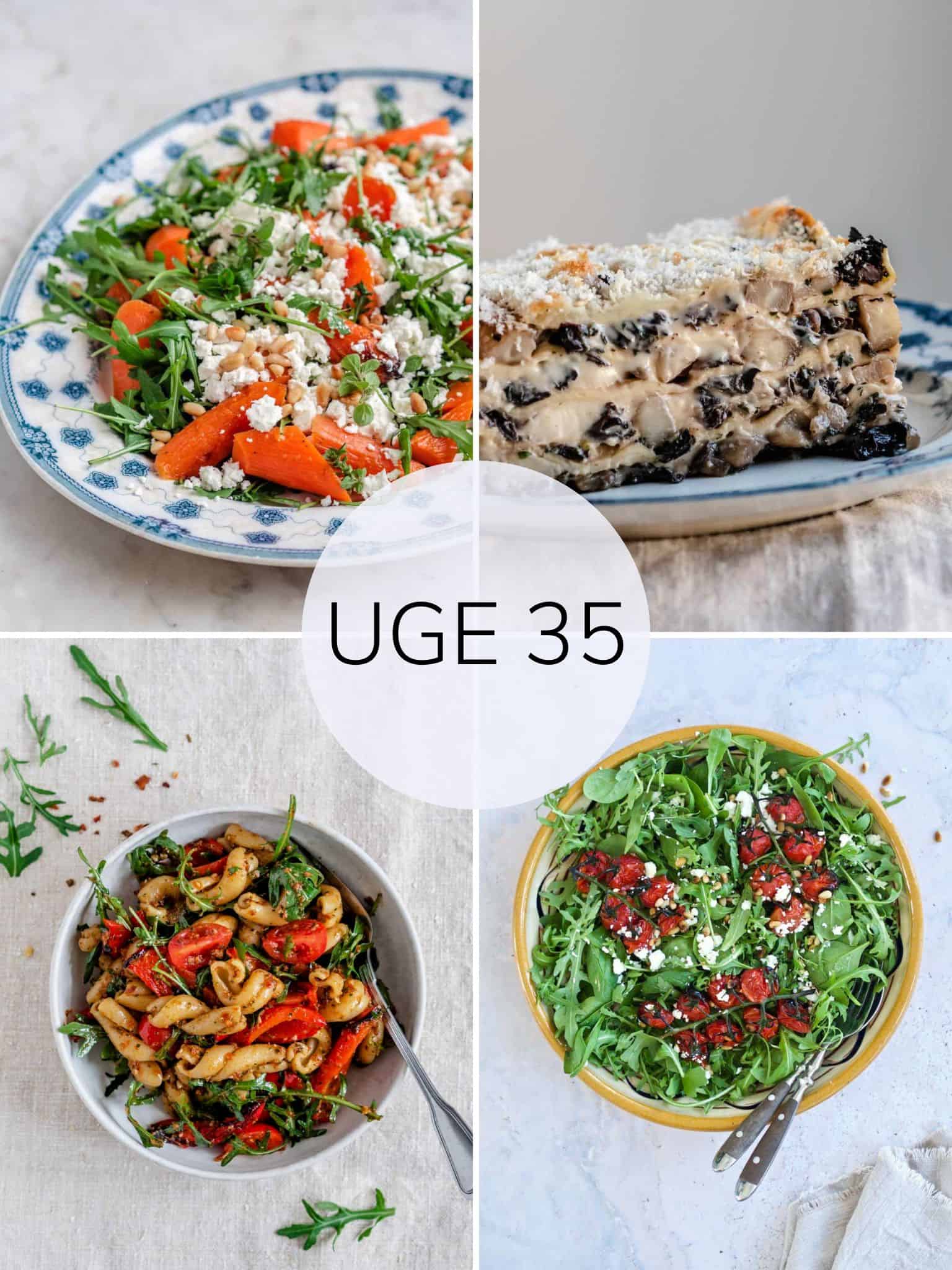 Madplan uge 35 – Gode retter fra Marialottes til hele ugen