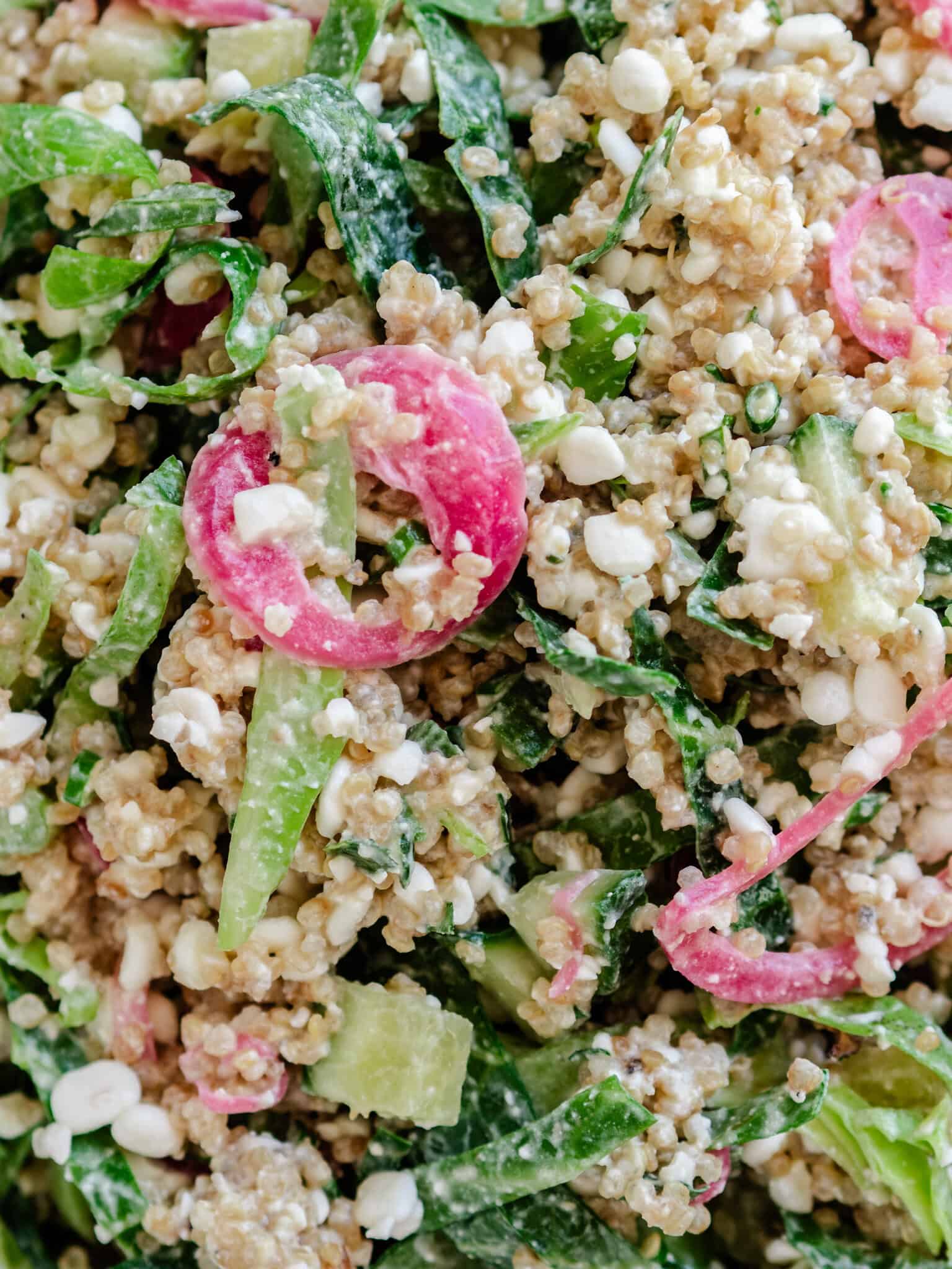 Salat med hytteost, quinoa og spidskål - nem & hurtig salat!