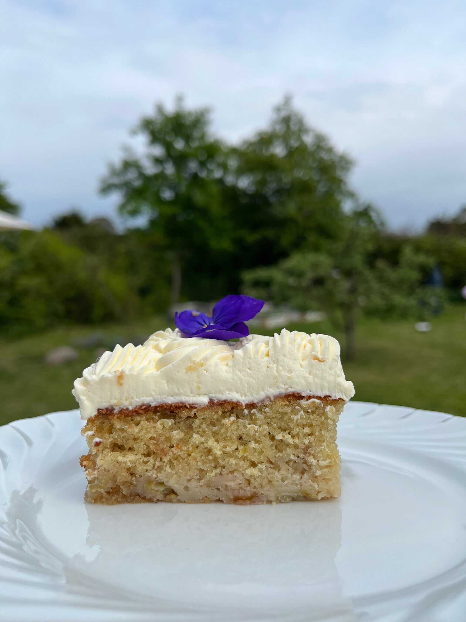 Talkage til mange - opskrift med rabarber og hvid ckololade