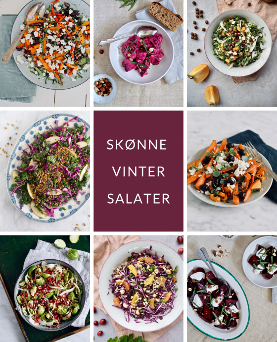 Salat - opskrifter på salater i alle afskygninger, varme og kolde